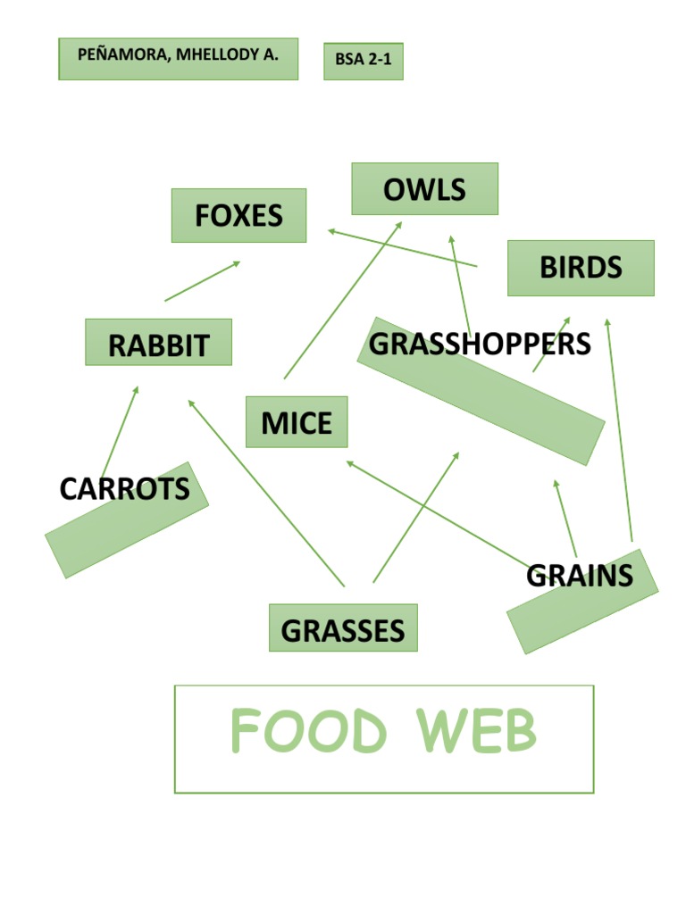 Food Web: Owls Foxes Birds Rabbit Grasshoppers Mice Carrots Grains ...