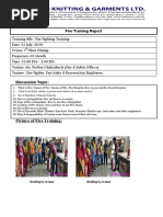 Roles & Responsibilities of Fire Fighting Team | PDF | Firefighting | Fires