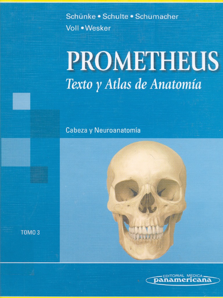 Libro - Anatomia Atlas - Prometheus 3 PDF | PDF