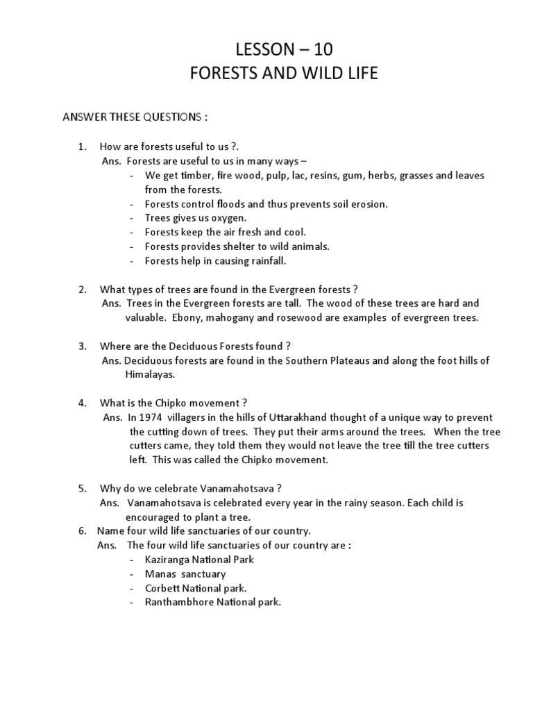 Forests and Wildlife Lesson | PDF