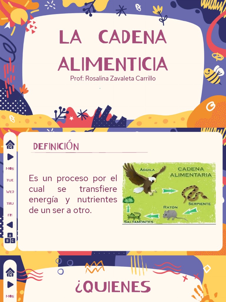 Clase de La Cadena Alimenticia | PDF