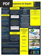 Haluros Orgánicos: Clasificación y Usos | PDF | Etanol | Metanol
