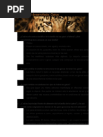 Cuadernillo Compañero | PDF