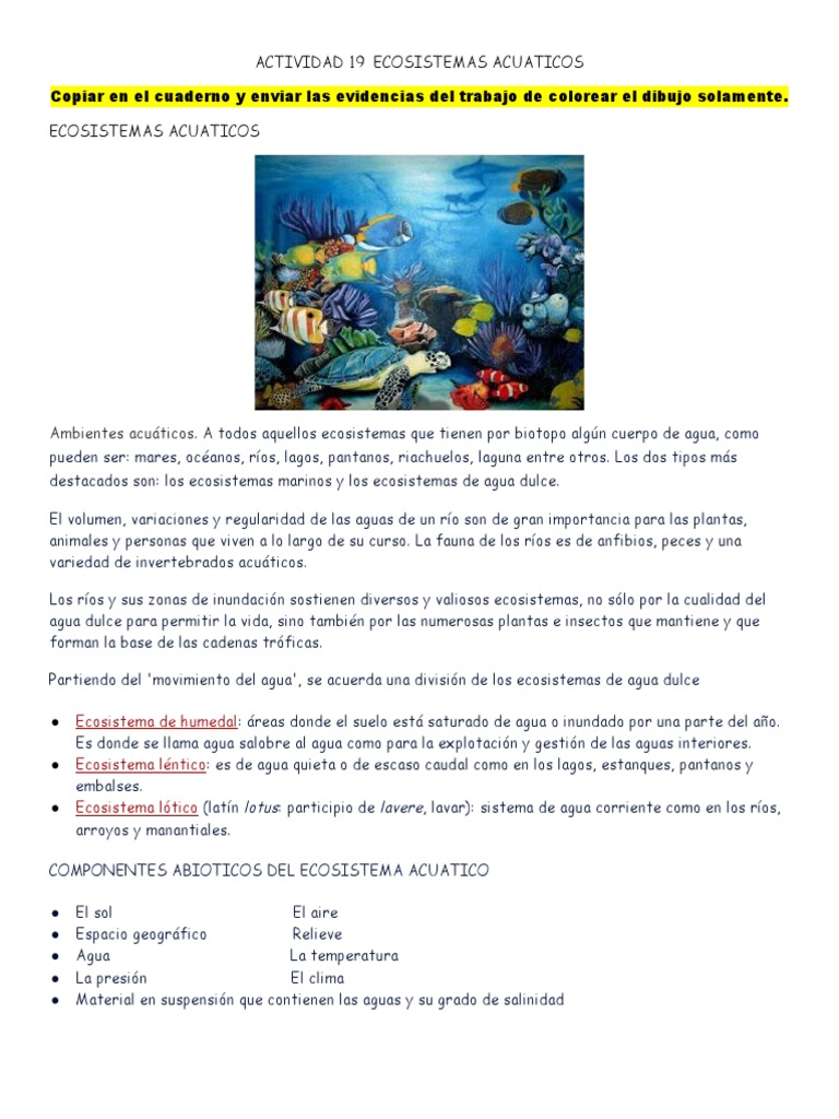 Actividad 19 Ecosistemas Acuaticos | PDF | Ecosistema acuático | Ecosistema