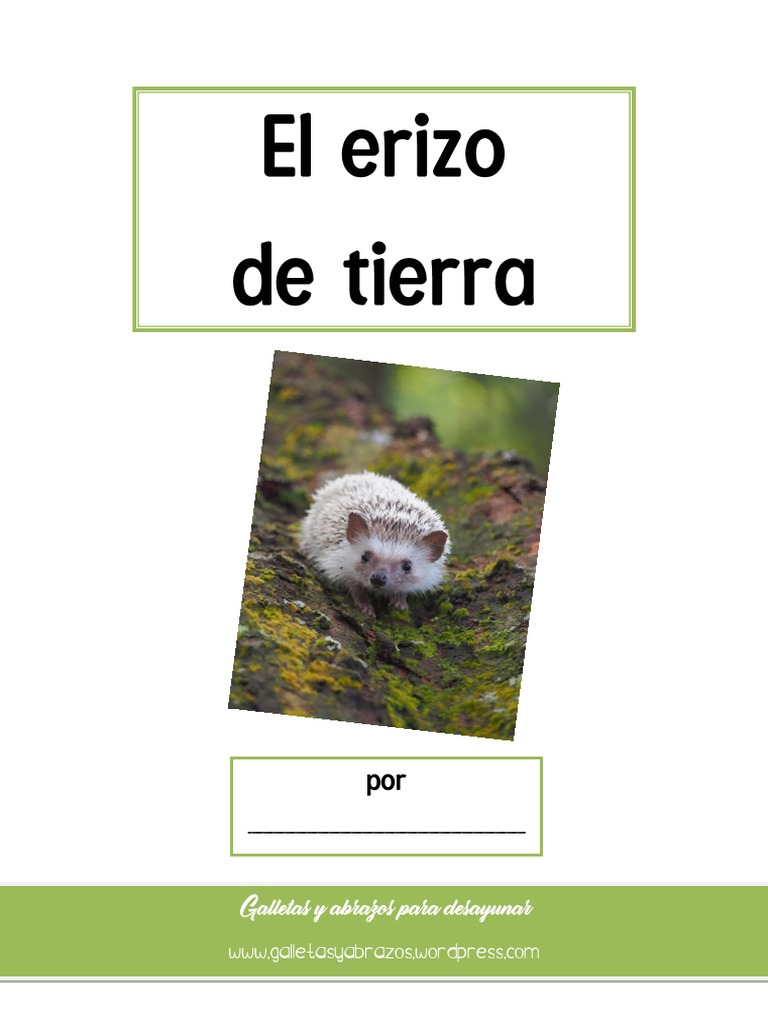 Manualidades de Erizos para Niños | PDF | Libros | Red mundial