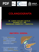 Anatomía y Clasificación del Colédoco | PDF | Vesícula biliar ...