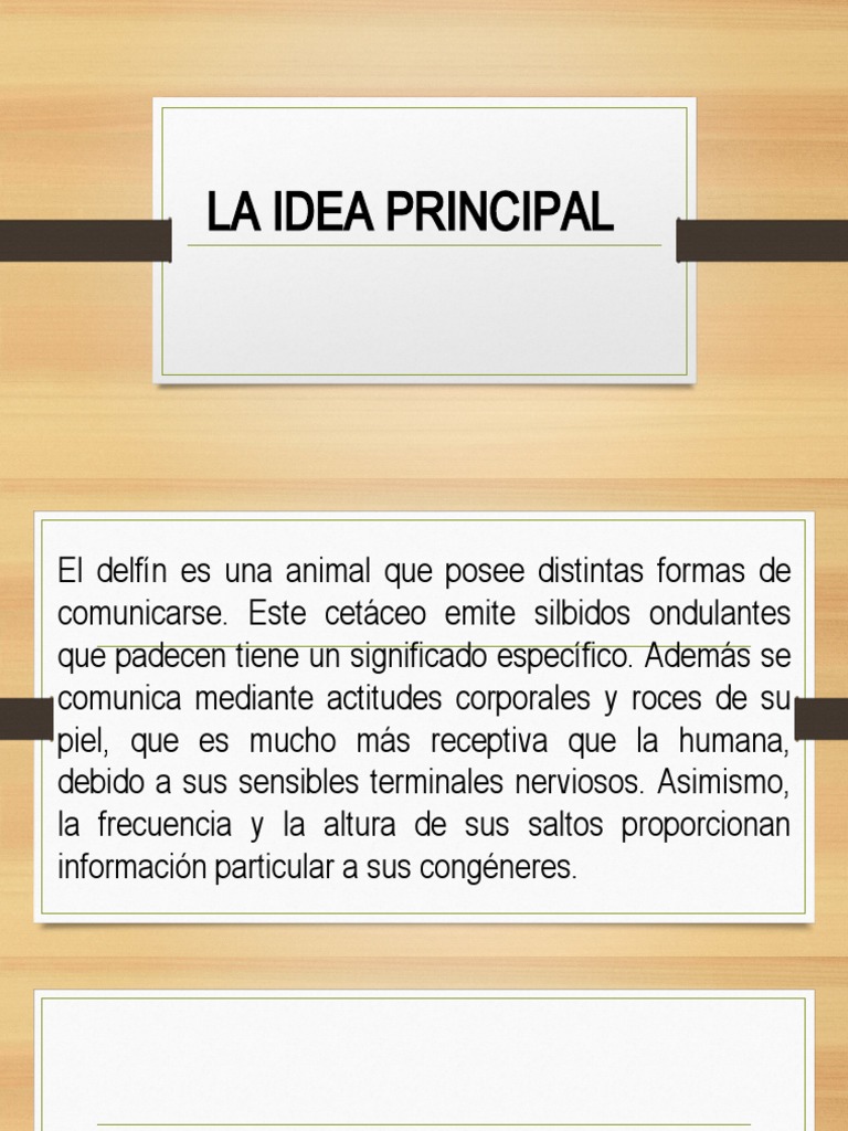 Presentación1, La Idea Principal | PDF