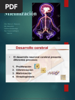Líquido Amniótico Meconial: Evidencias 2018 | PDF | Parto | El embarazo