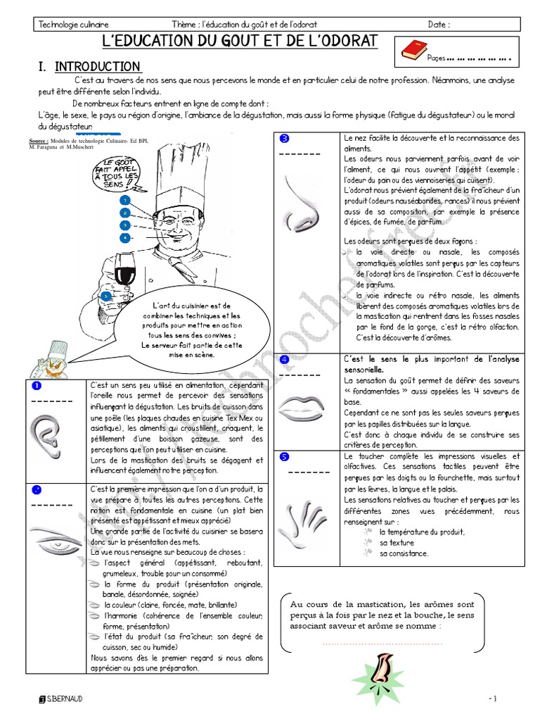 Éducation du goût et de l'odorat en cuisine | PDF | Dégustation de vins ...