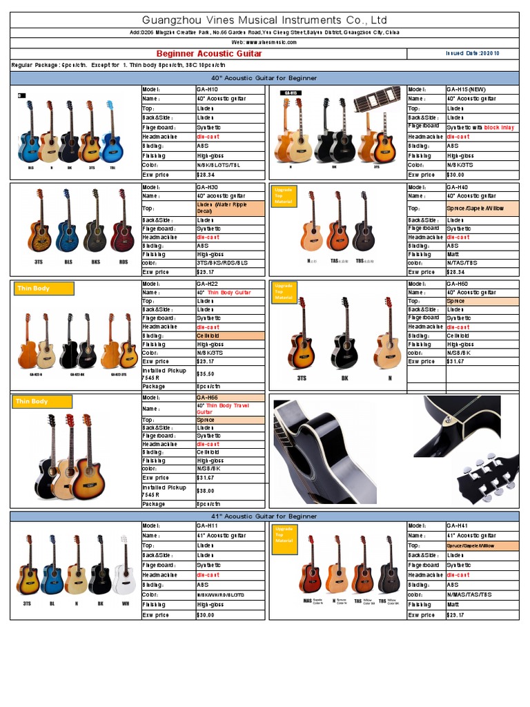Beginner Acoustic Guitars from Vines Music | PDF | Guitars | Celtic ...