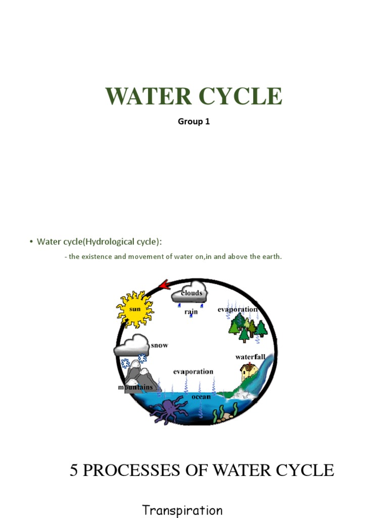 1 Water Cycle PDF | PDF