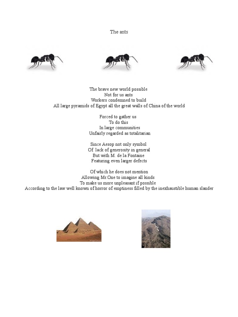 The Ants: A Critique of Society | PDF
