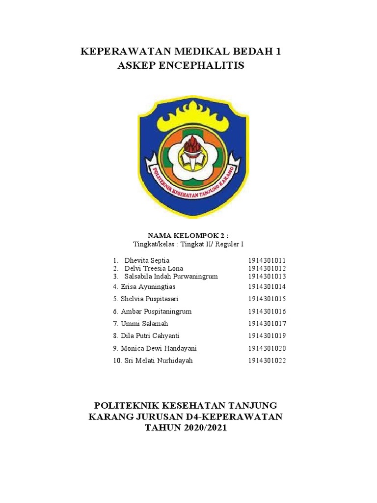 Kel. 2 Askep Encephalitis | PDF