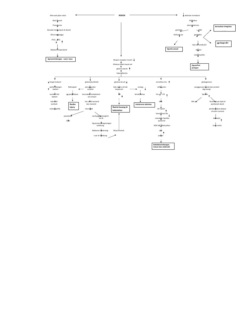 Patofisiologi Pathway Diabetes Mellitus Tipe 2 | PDF