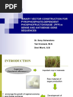 Sucrose Extraction from Sugarcane | PDF | Sugarcane | Sucrose