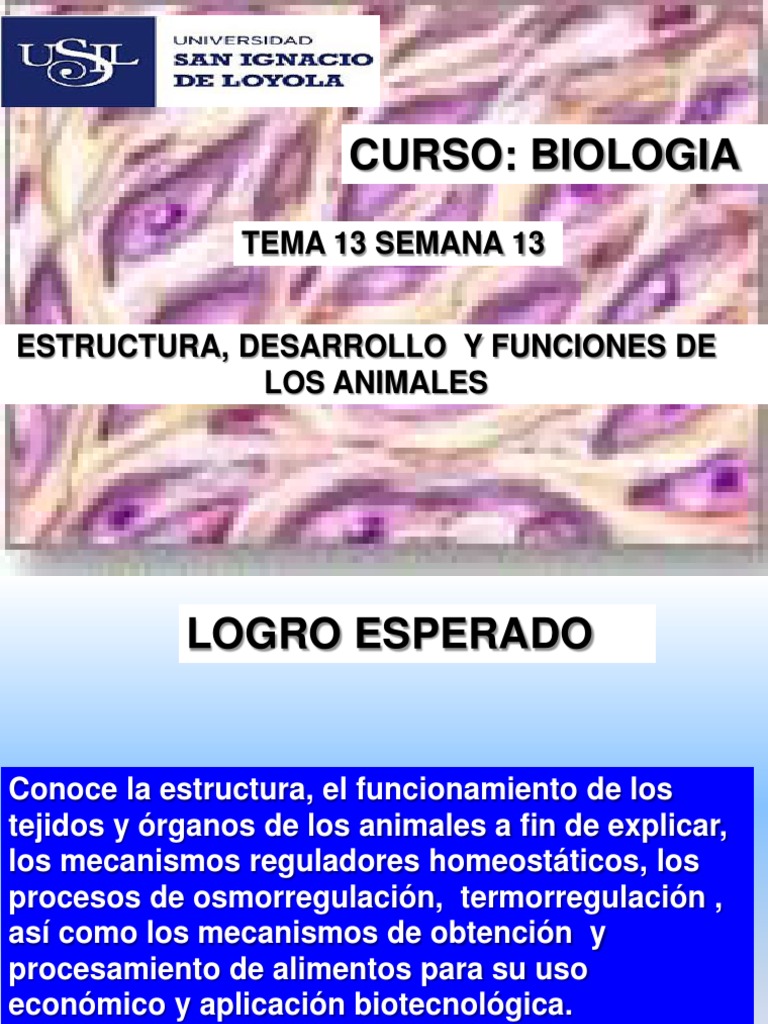 Semana 13 - ESTRUCTURA DESARROLLO Y FUNCIONES DE LOS ANIMALES | PDF ...