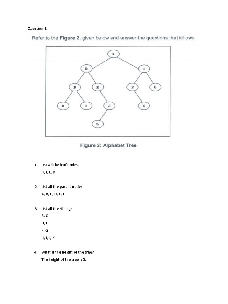 Binary Tree Concepts Explained | PDF | Algorithms | Theoretical ...