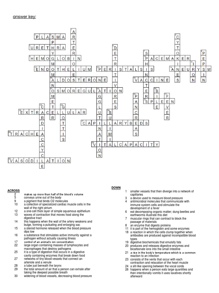 Bio Crossword Puzzle | PDF | Digestion | Blood