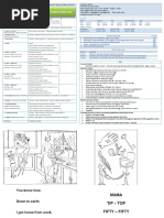 NIH Stroke Scale - Spanish Version | PDF | Aphasia | Amputation