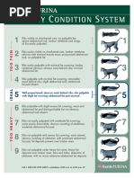 Purina Body Condition Score System For Dogs Pdf Abdomen Pelvis