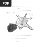 Nkuna Clan History and Lineage | PDF | Southern Africa