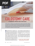 STAR Skin Tear Classification Guide | PDF | Skin | Wound
