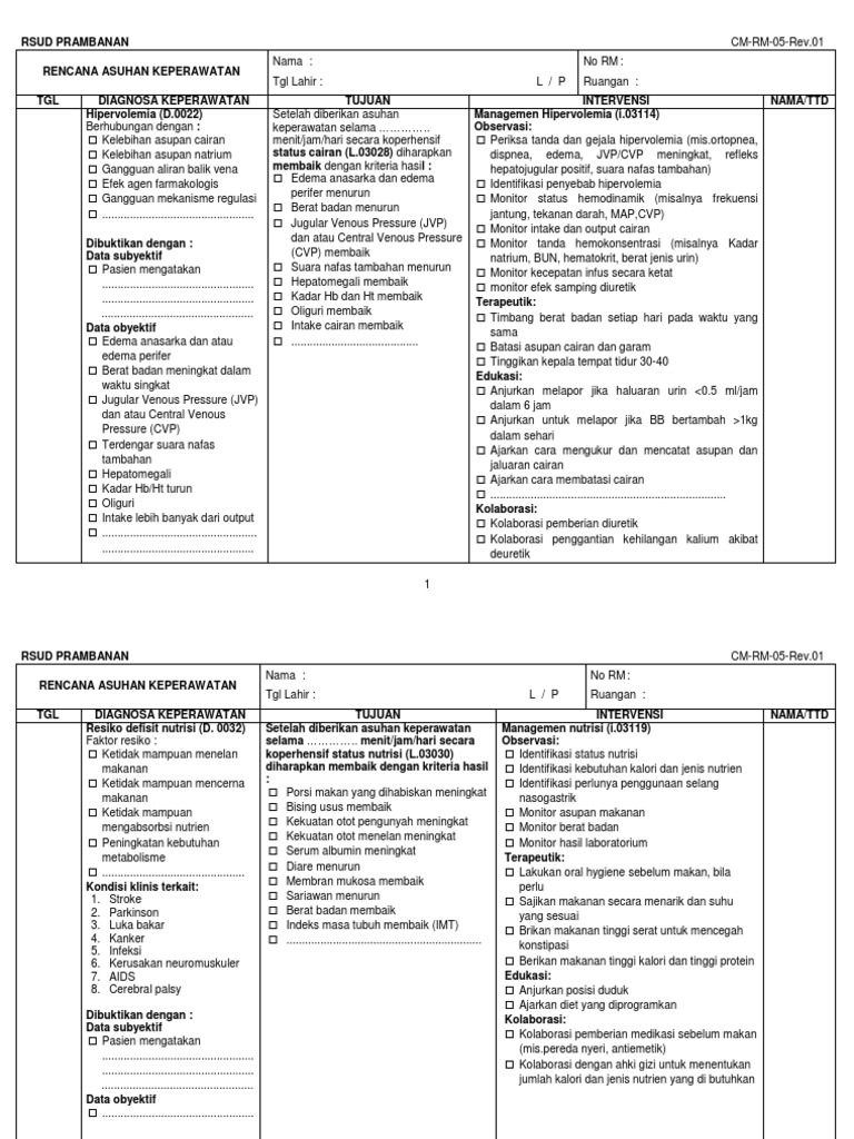 Rencana Asuhan Keperawatan SDKI | PDF