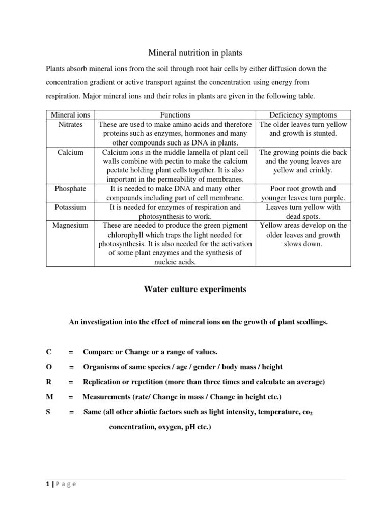 Mineral Nutrition in Plants Explained | PDF | Plants | Photosynthesis