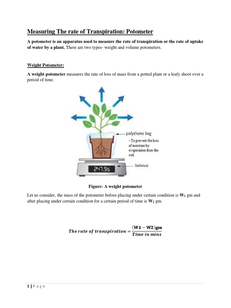Measuring The Rate of Transpiration | PDF | Branches Of Botany | Plants