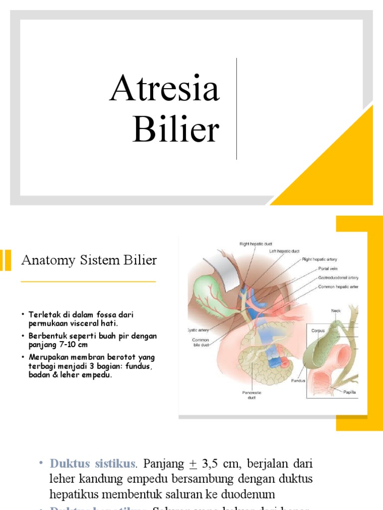 Ilmiah Jumat Atresia Bilier | PDF