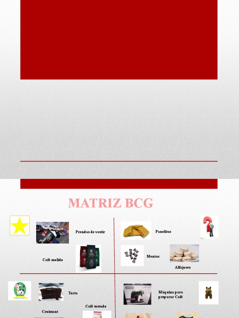 Matriz BCG | PDF