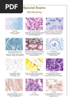 PAP SMEAR Test Report Format Example Sample Template Drlogy Lab Report ...