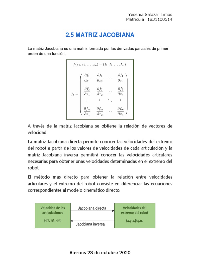 2.5 Matriz Jacobiana | PDF