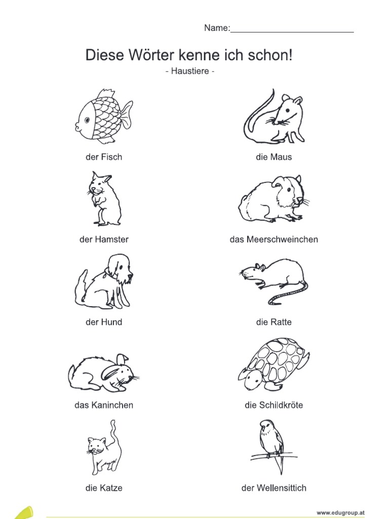 Haustiere Arbeitsblatt 1 PDF | PDF