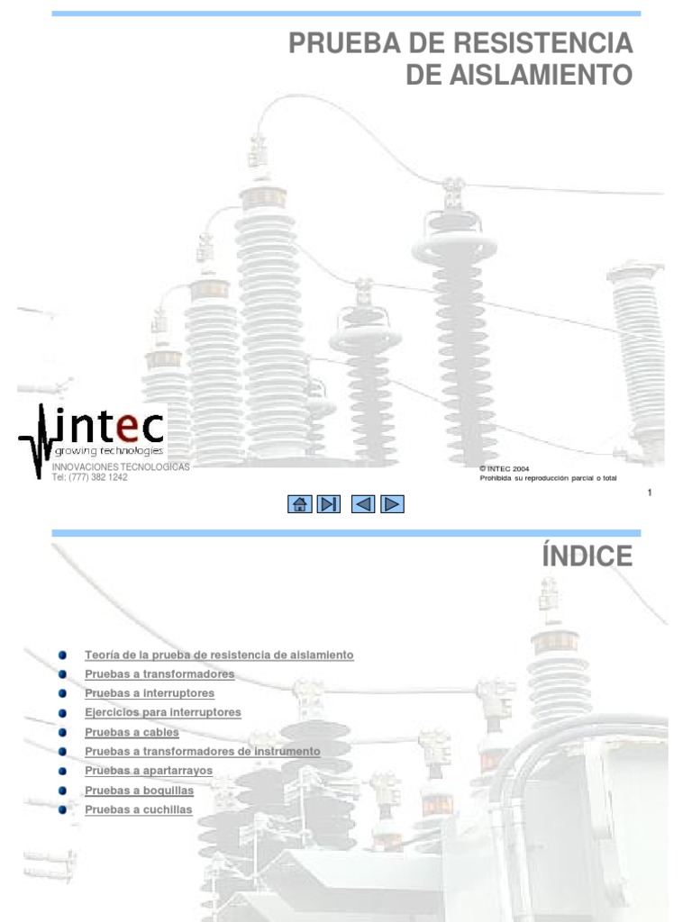 Prueba de Aislamiento | PDF | Aislador (Electricidad) | Resistencia Eléctrica y Conductancia