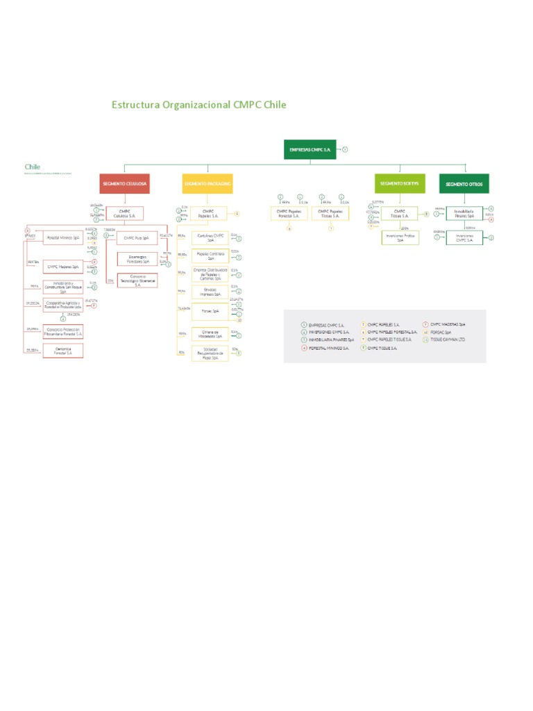 Estructura Organizacional CMPC Chile | PDF