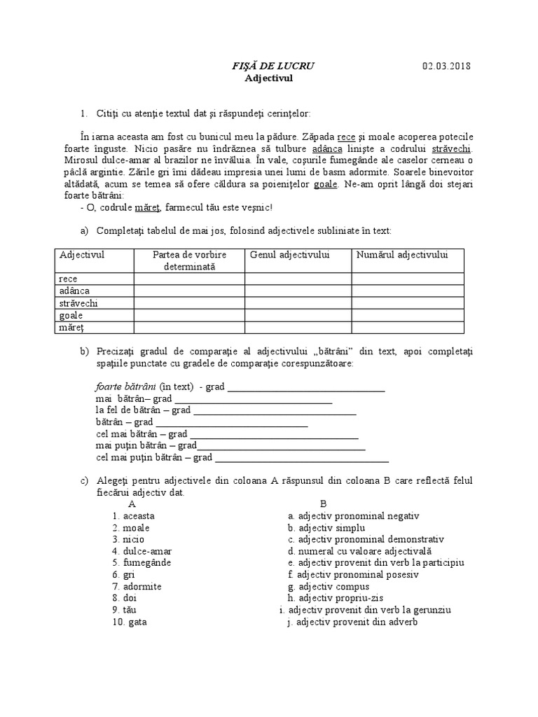 Fişă de Lucru Adjectiv | PDF
