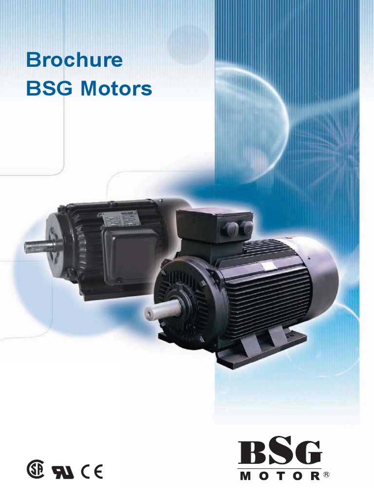 Especificaciones de Motores BSG | PDF | Naturaleza