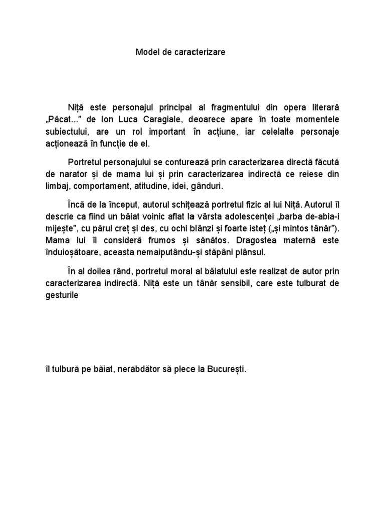 Model de Caracterizare | PDF