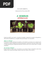 Proyecto-Señor Cabeza de Pasto | PDF