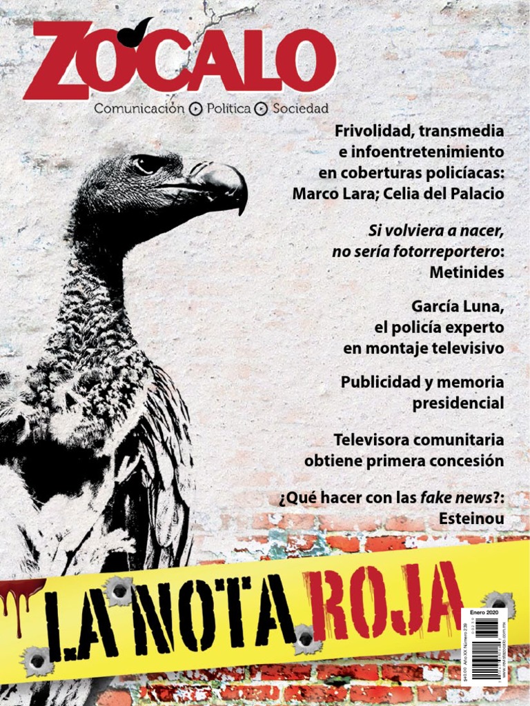 Análisis de la Nota Roja en Xalapa | PDF | Violencia | México