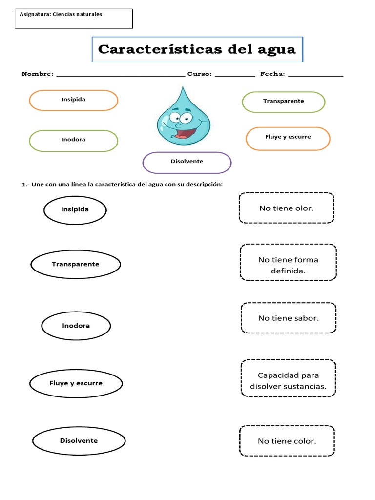 Guía Caracteristicas Del Agua 2° Basico | PDF | Sabor | Agua