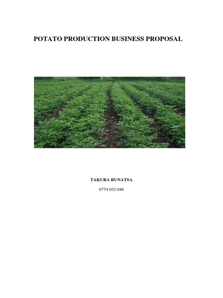 Business Plan - Potato | PDF | Agriculture | Sales