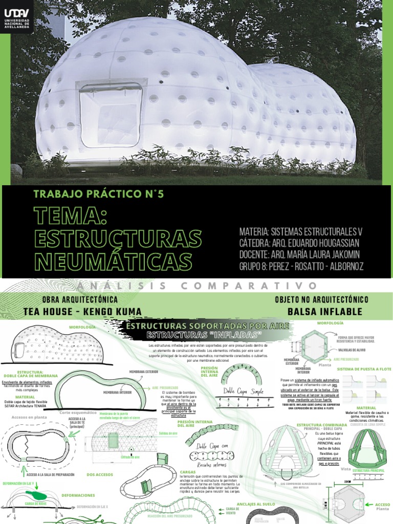 Estructuras Neumáticas | PDF | Naturaleza | Science
