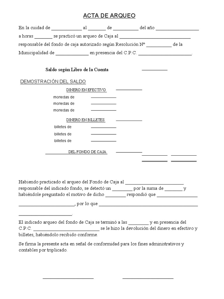 Acta de Arqueo de Caja Municipal | PDF | Derecho