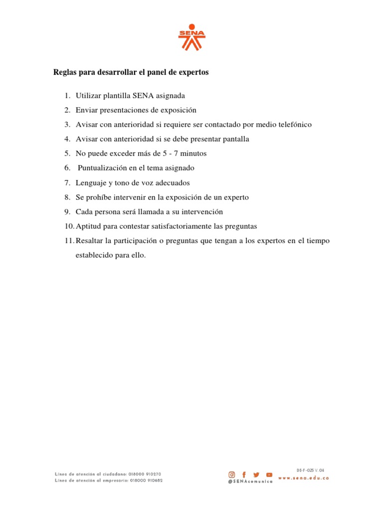 Reglas para Desarrollar El Panel | PDF