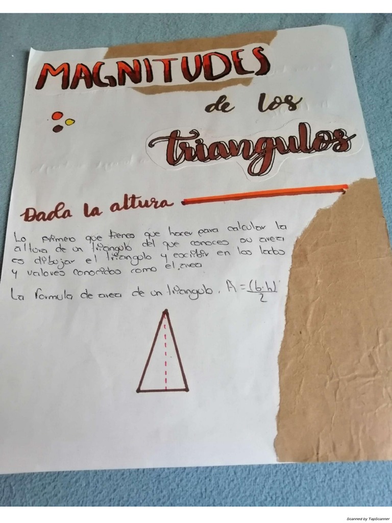 TapScanner Usage Guide | PDF