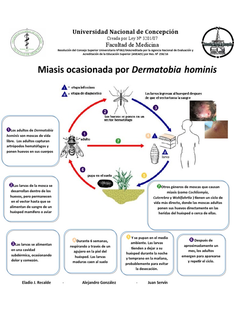 Miasis | PDF | Mosca | Organismos
