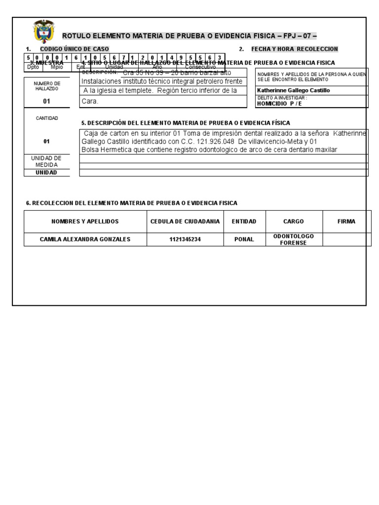 FPJ-07 ROTULO CADENA DE CUSTODIA MODIFICABLE - Copia FHFH | PDF