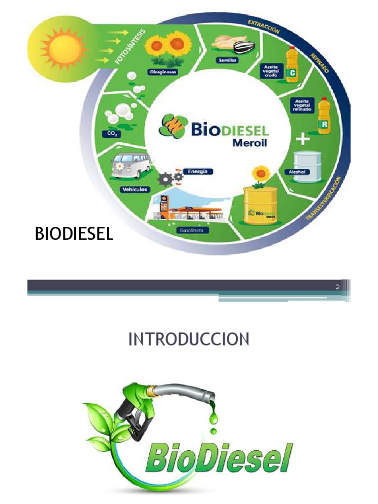 Biodiesel PDF | PDF | Biodiésel | Aceite vegetal